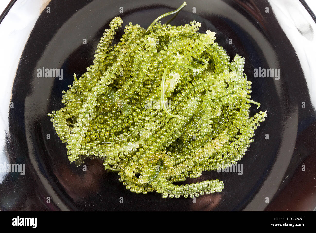 sea grapes or green caviar on a black dish Stock Photo - Alamy
