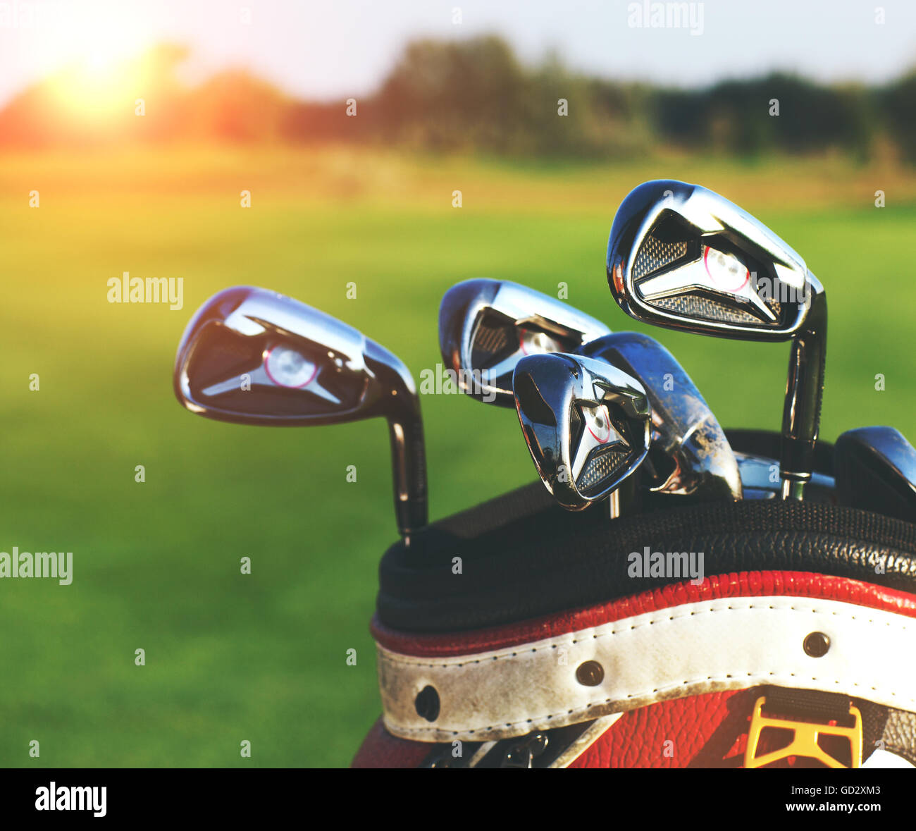Golf clubs drivers over green field background. Summer sunset Stock ...