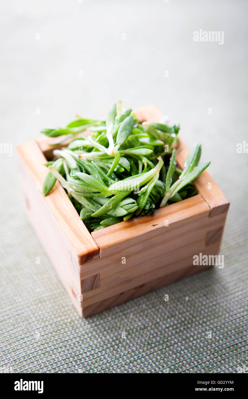 spring young greens Stock Photo - Alamy