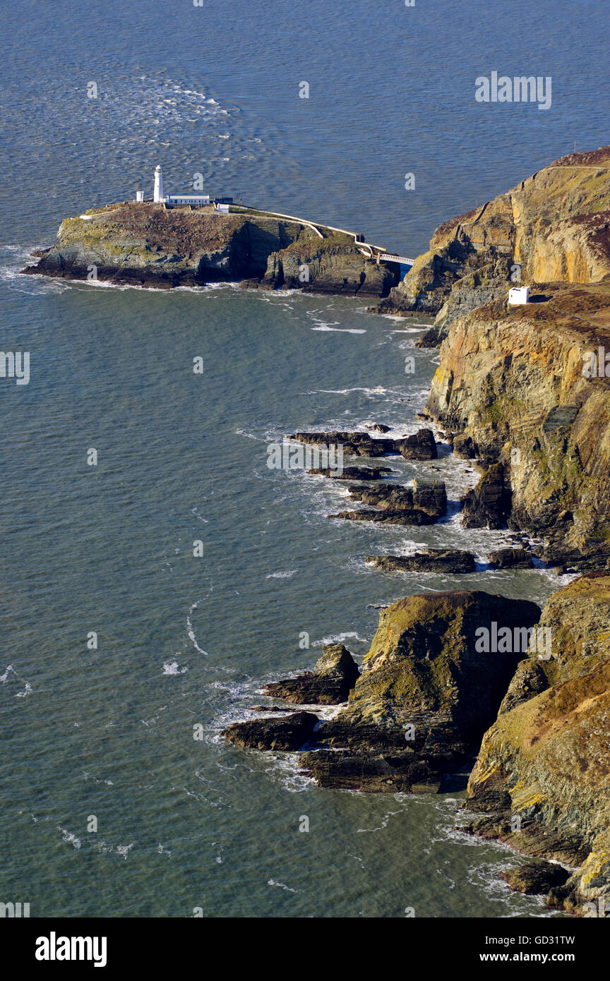 South stack cliffs rspb reserve hi-res stock photography and images - Alamy