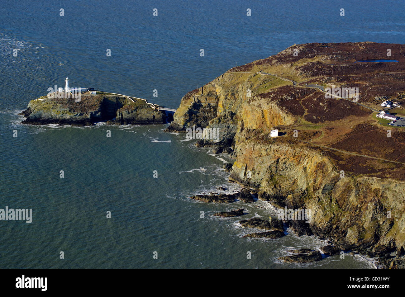 South stack cliffs rspb reserve hi-res stock photography and images - Alamy