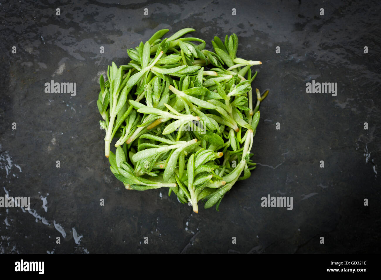 spring young greens Stock Photo - Alamy