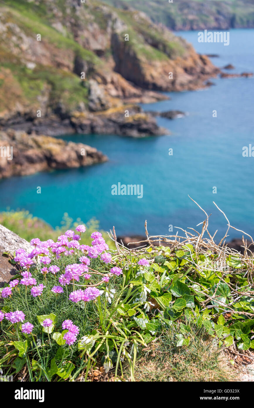 Guernsey Cliffs High Resolution Stock Photography and Images - Alamy