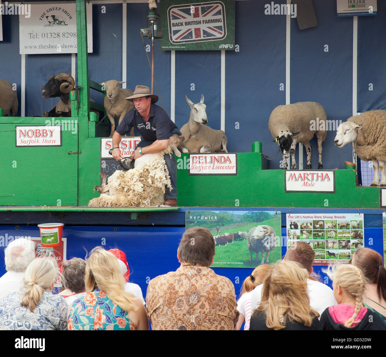The Sheep Show performed by Richard Savory Stock Photo - Alamy