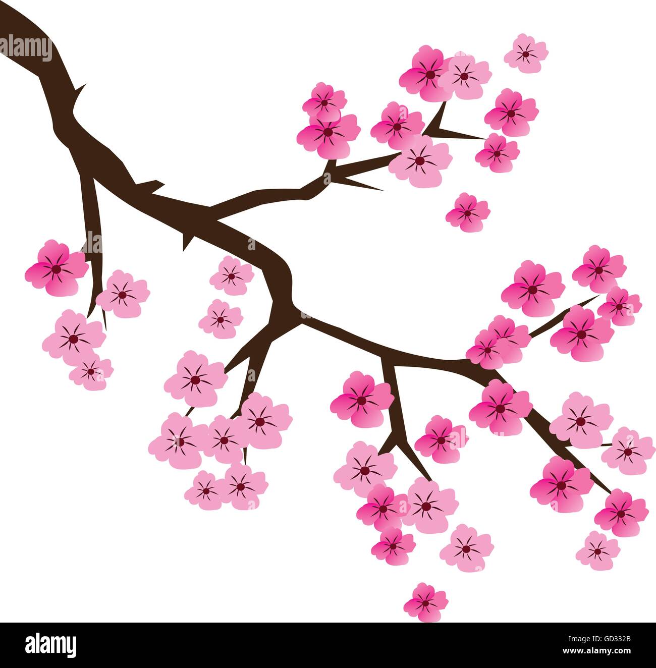vector illustration of a cherry blossom branch Stock Vector Image & Art ...