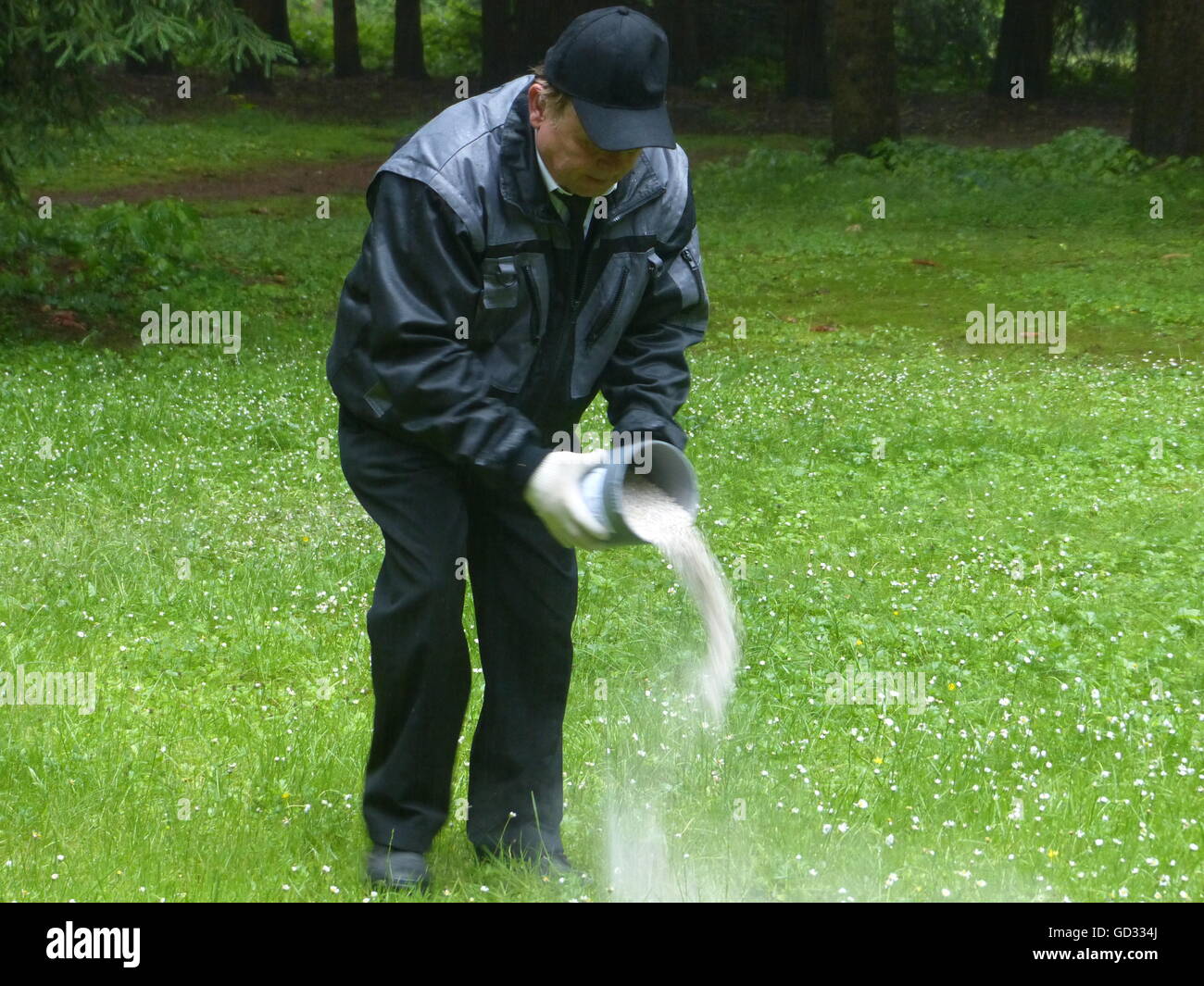 spreading ashes of the deceased from the urn Stock Photo - Alamy