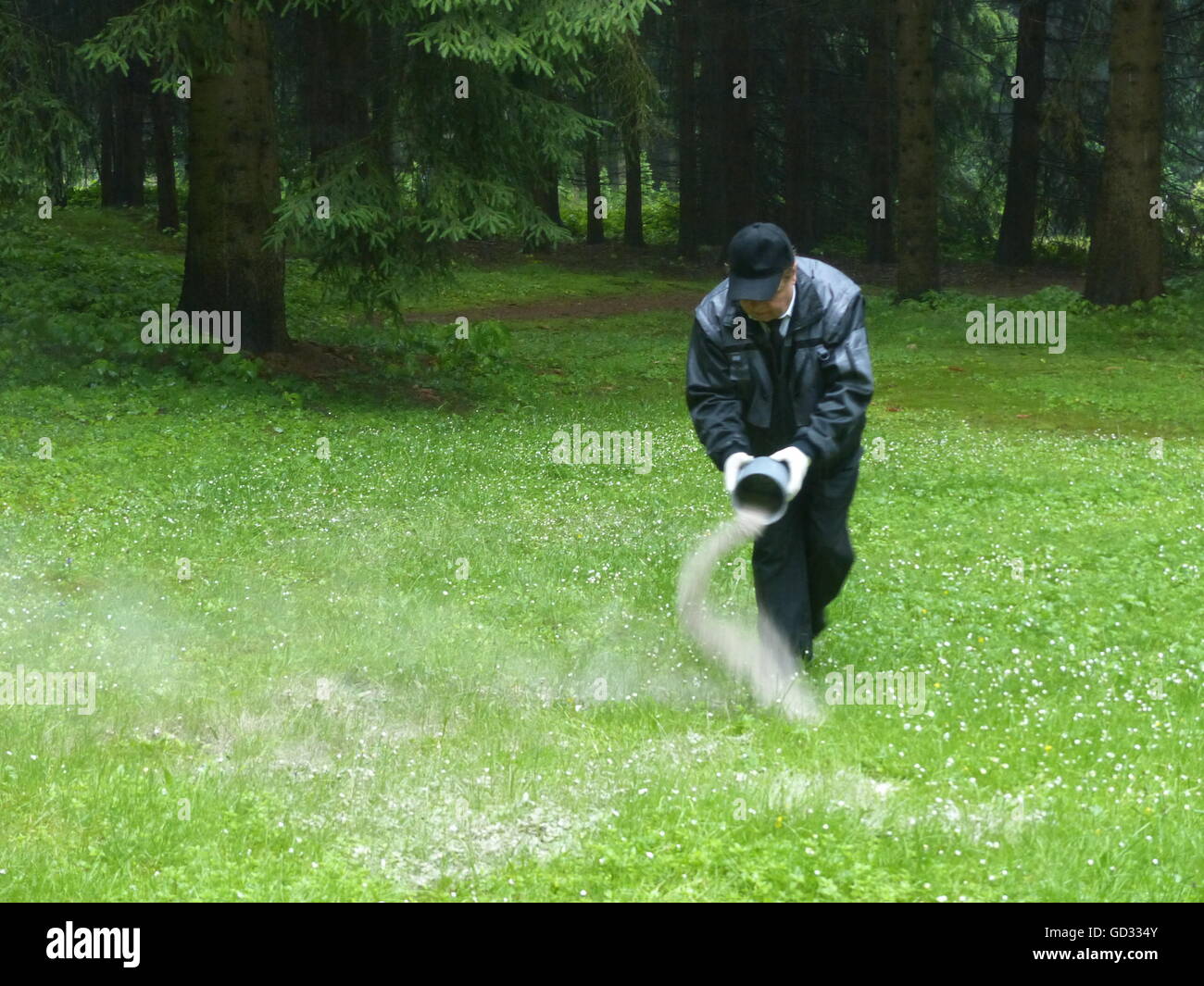 spreading ashes of the deceased from the urn Stock Photo - Alamy