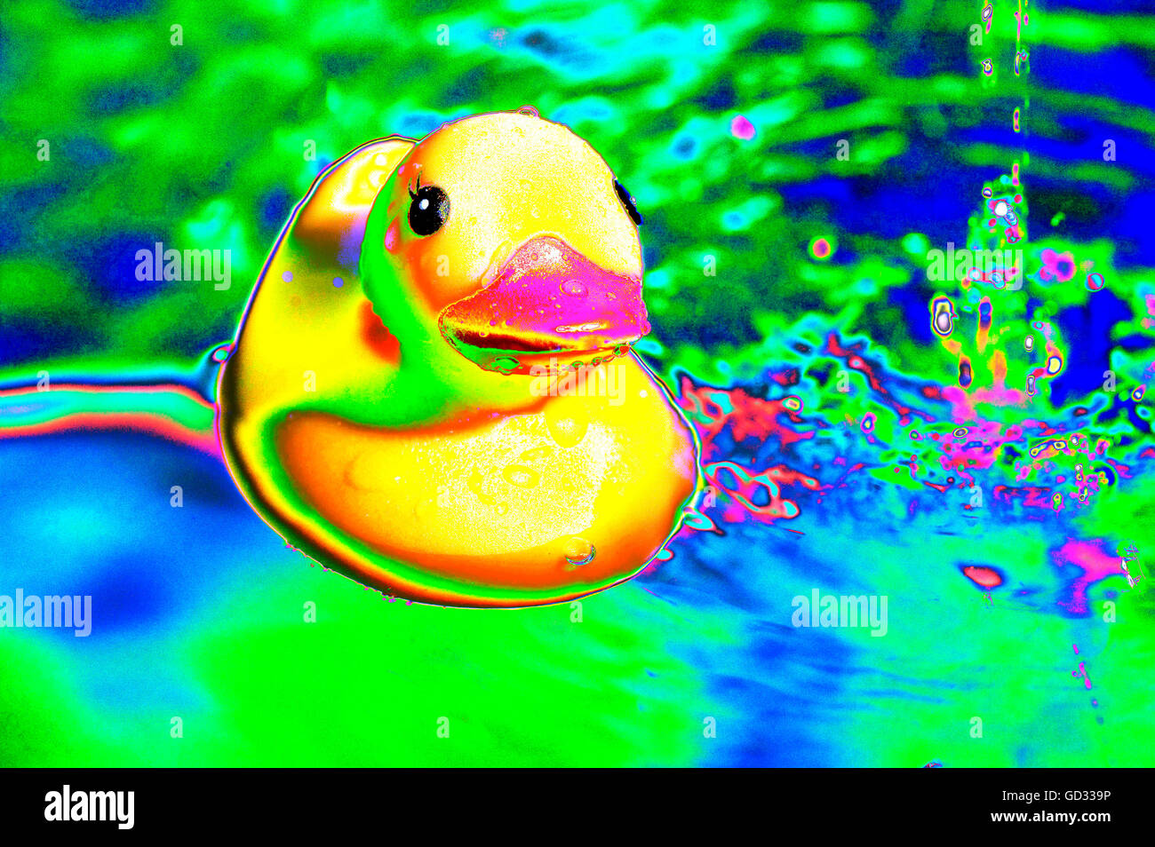 A rubber duck in the bath Stock Photo - Alamy