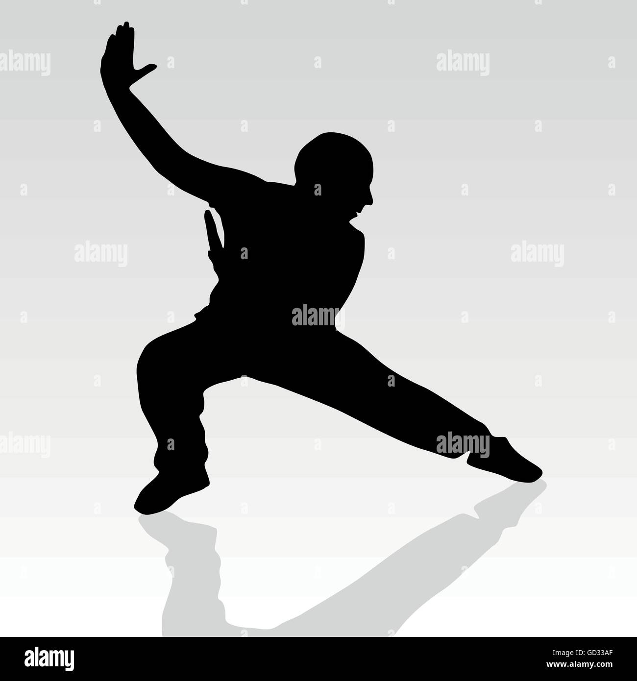 Karate shadow hi-res stock photography and images - Alamy