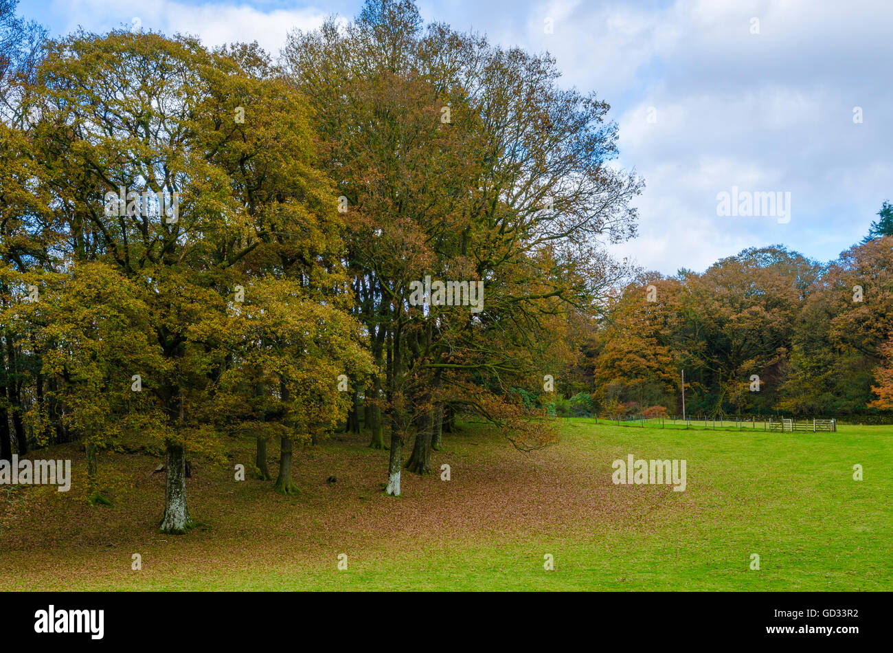 North cuckoo lake hi-res stock photography and images - Alamy