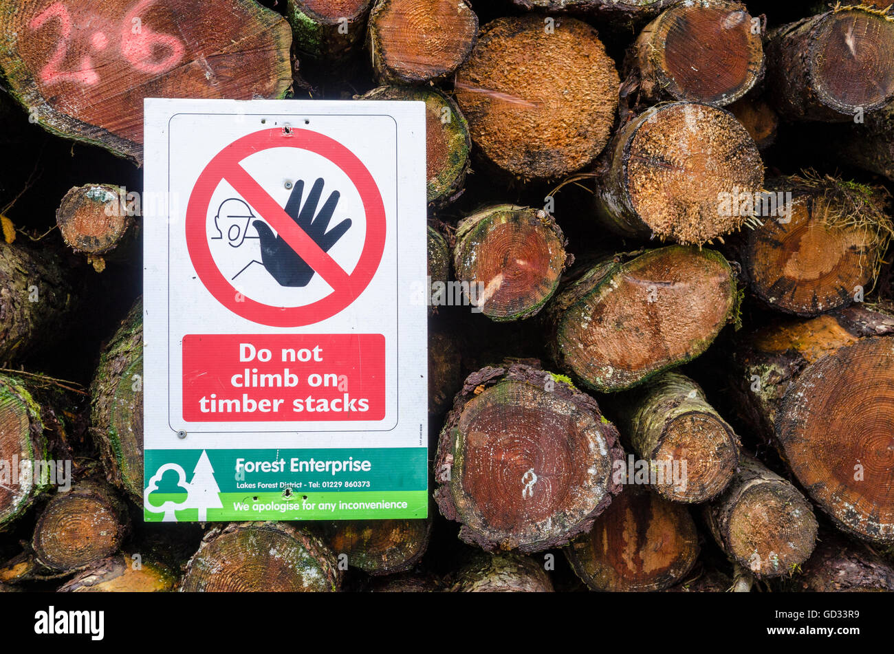 A warning sign on a stack of logs in a managed forest on Claife Heights ...