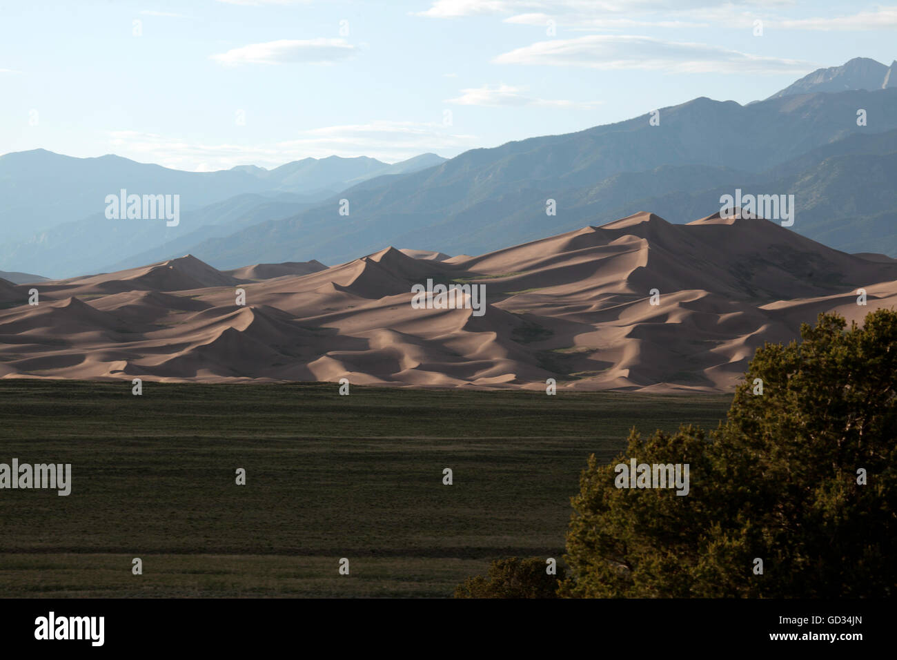 A view of the sand dunes at the Great Sand Dunes National Park Stock ...