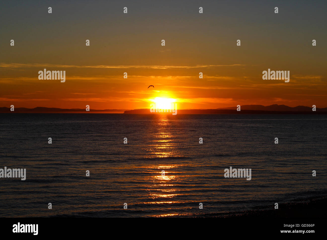 Ocean sunset canadian sunset hi-res stock photography and images - Alamy