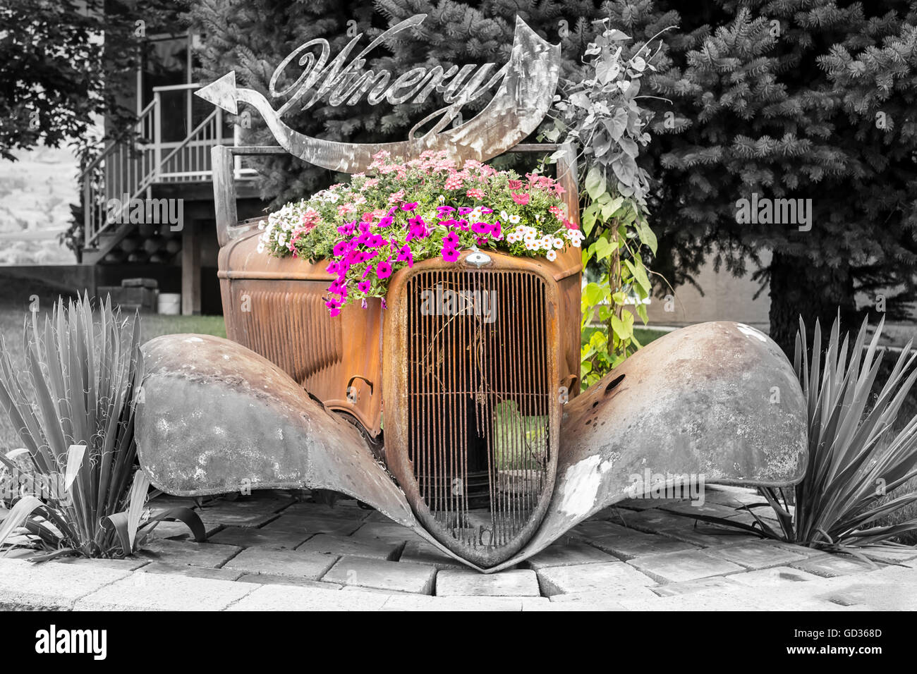 Antique car planter Stock Photo - Alamy