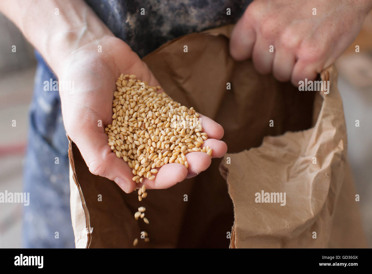 Grain Identification