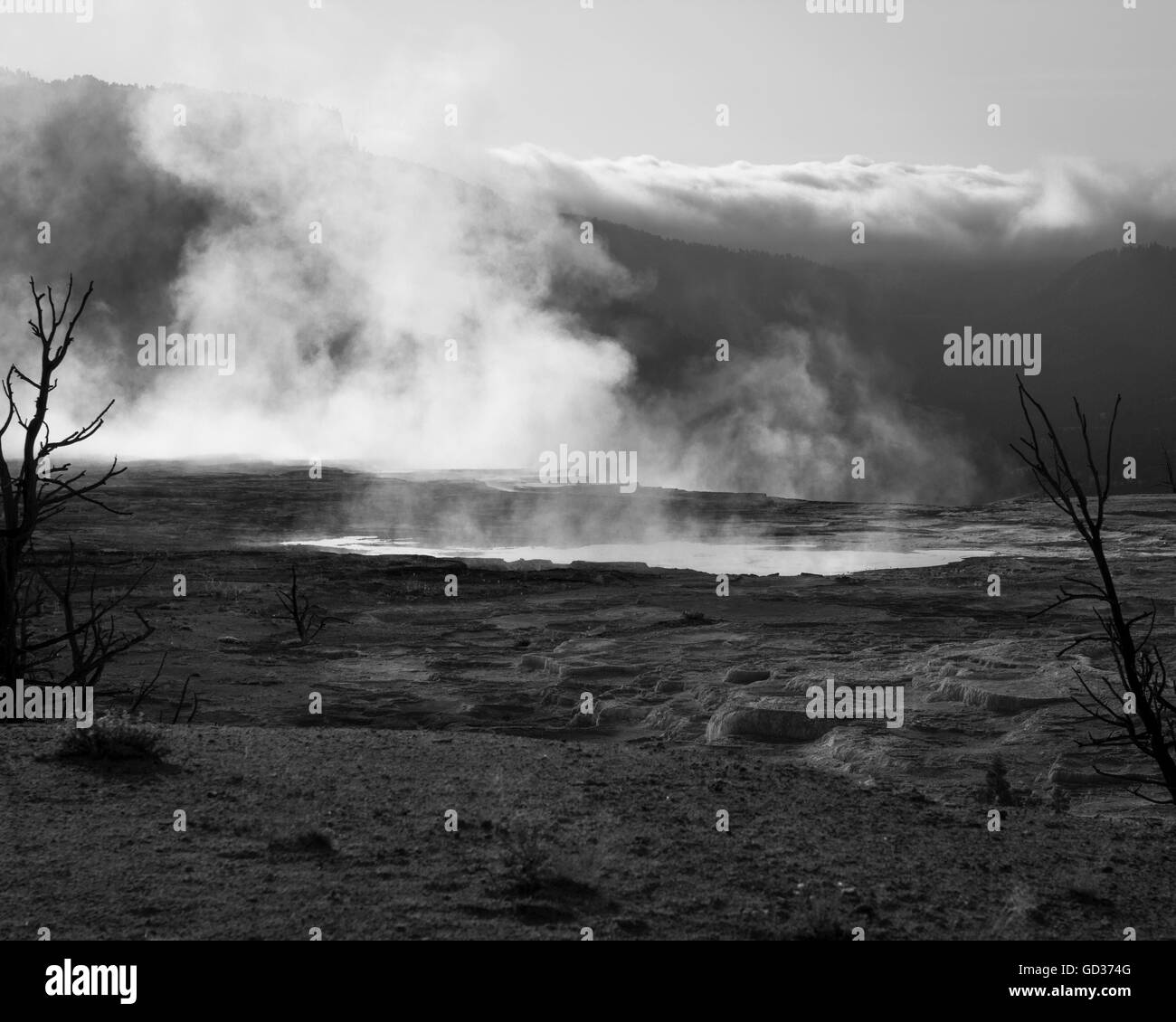 Steam rising from a thermal pool Stock Photo - Alamy