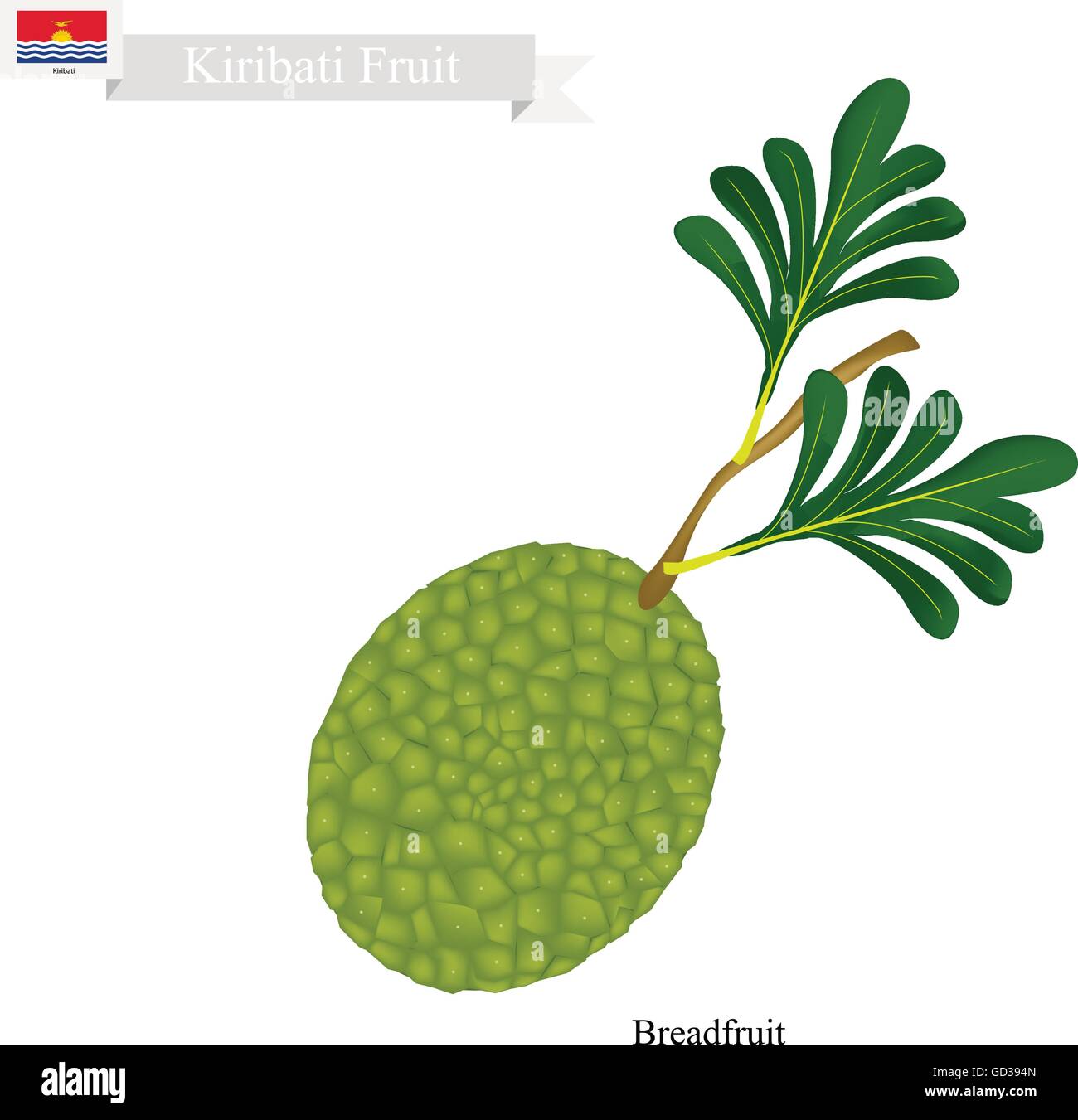 Kiribati Fruit, Ripe and Sweet Breadfruit. One of The Most Popular ...