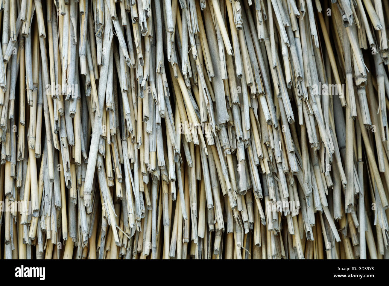 bulrush roof on the house in the village.Ukraine Stock Photo - Alamy