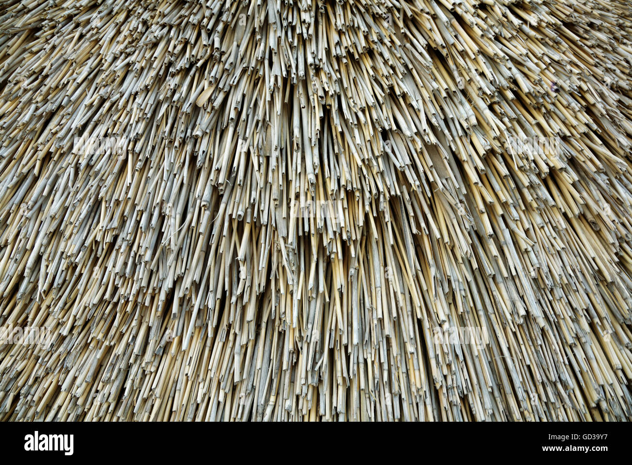 Natural house roof village hi-res stock photography and images - Alamy