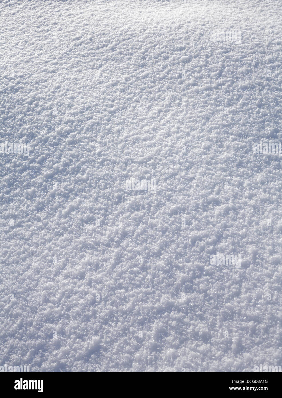 Snow in the forest.Ukraine Stock Photo - Alamy