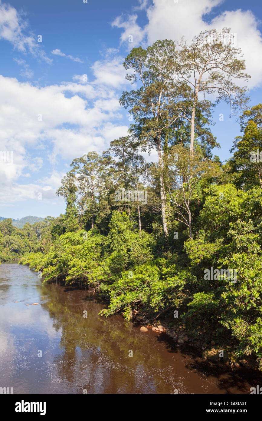 Maliau basin hi-res stock photography and images - Alamy