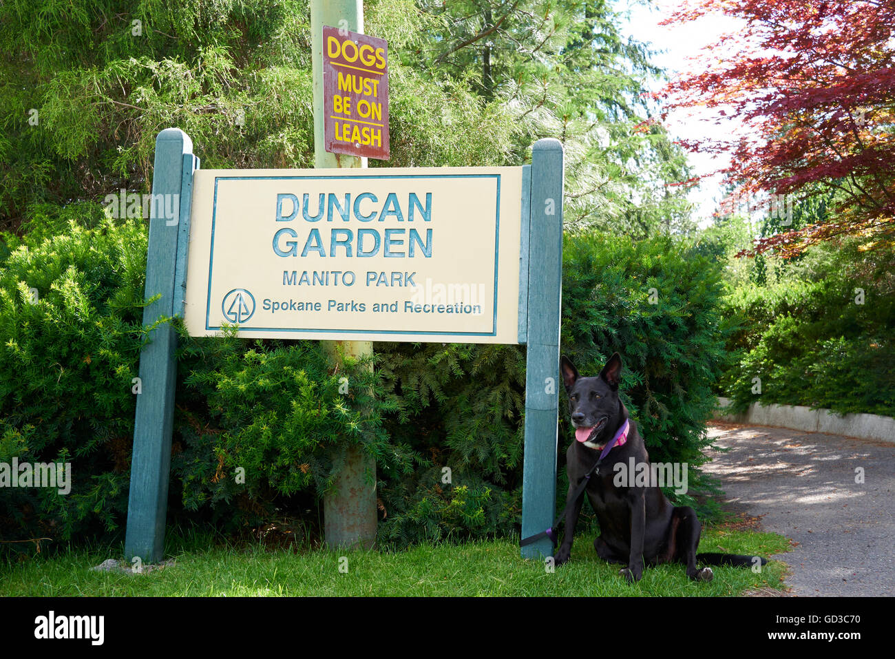 The Duncan Garden sign, with dog tied up. Manito Park, Spokane ...