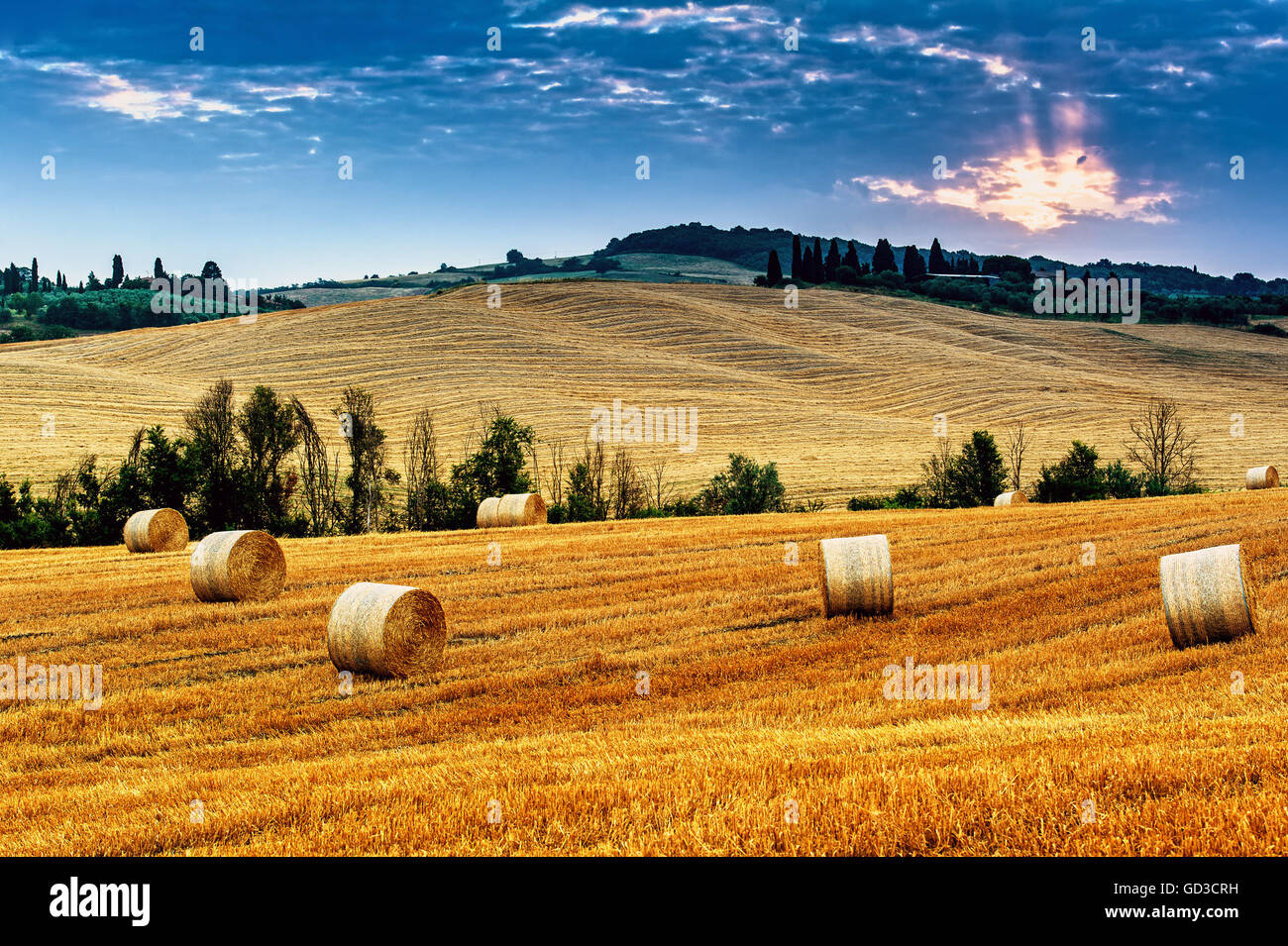 Landscape Tuscany in summer Stock Photo - Alamy