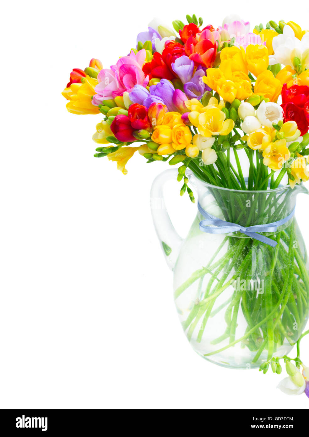 Freesias pot hi-res stock photography and images - Alamy