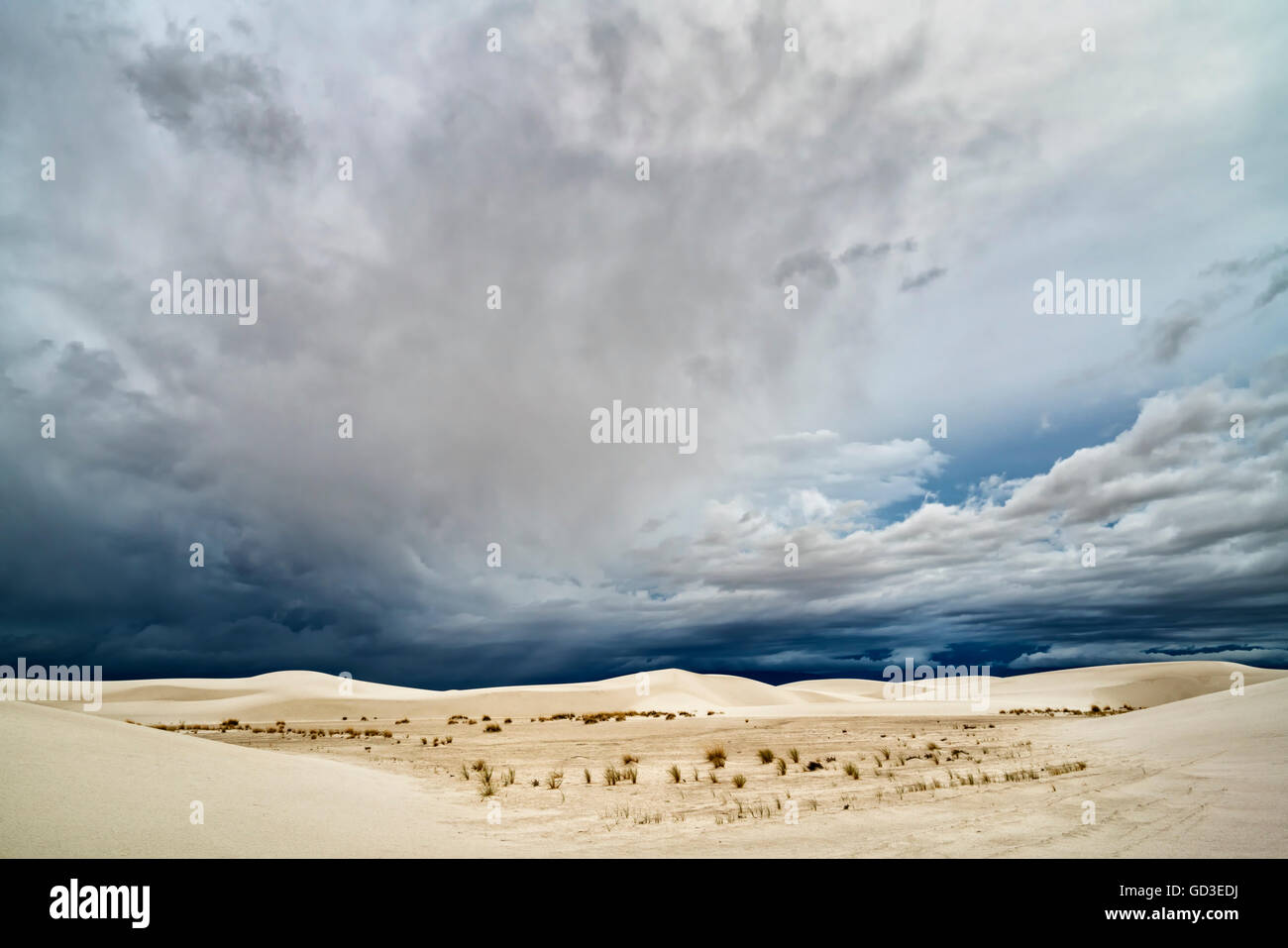 Threatening desert storm Stock Photo - Alamy