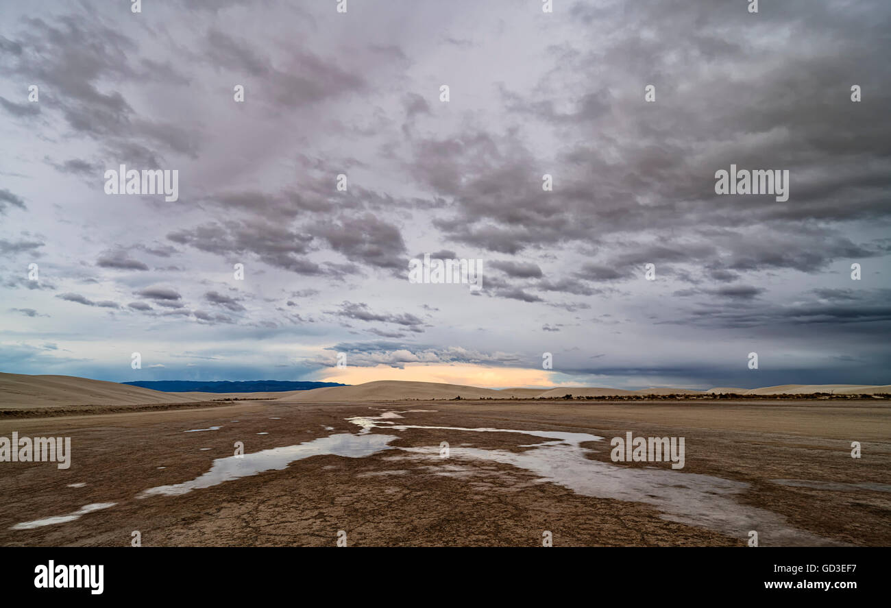 Sand Dunes After Rain High Resolution Stock Photography and Images - Alamy