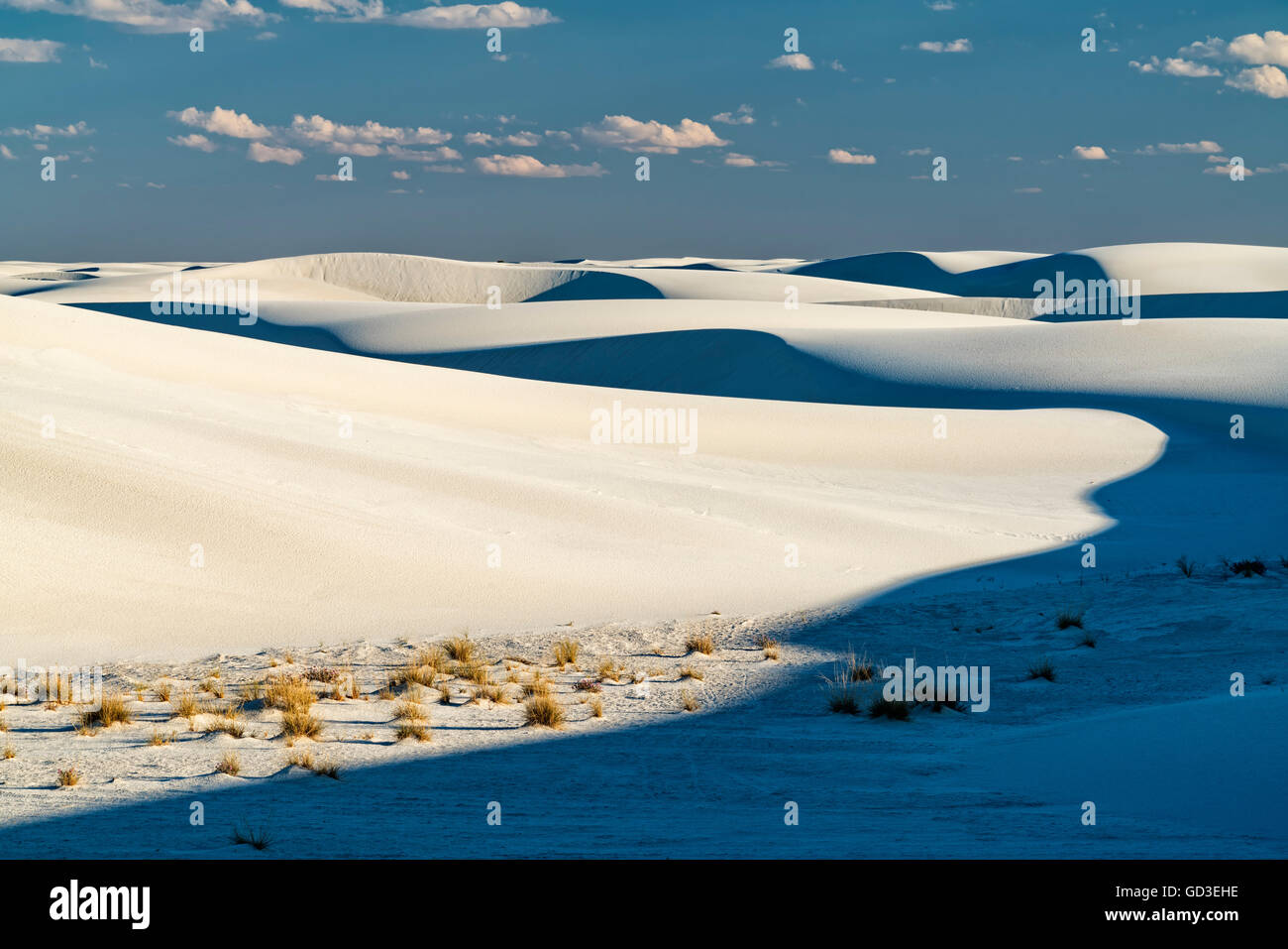 White sand dunes Stock Photo - Alamy