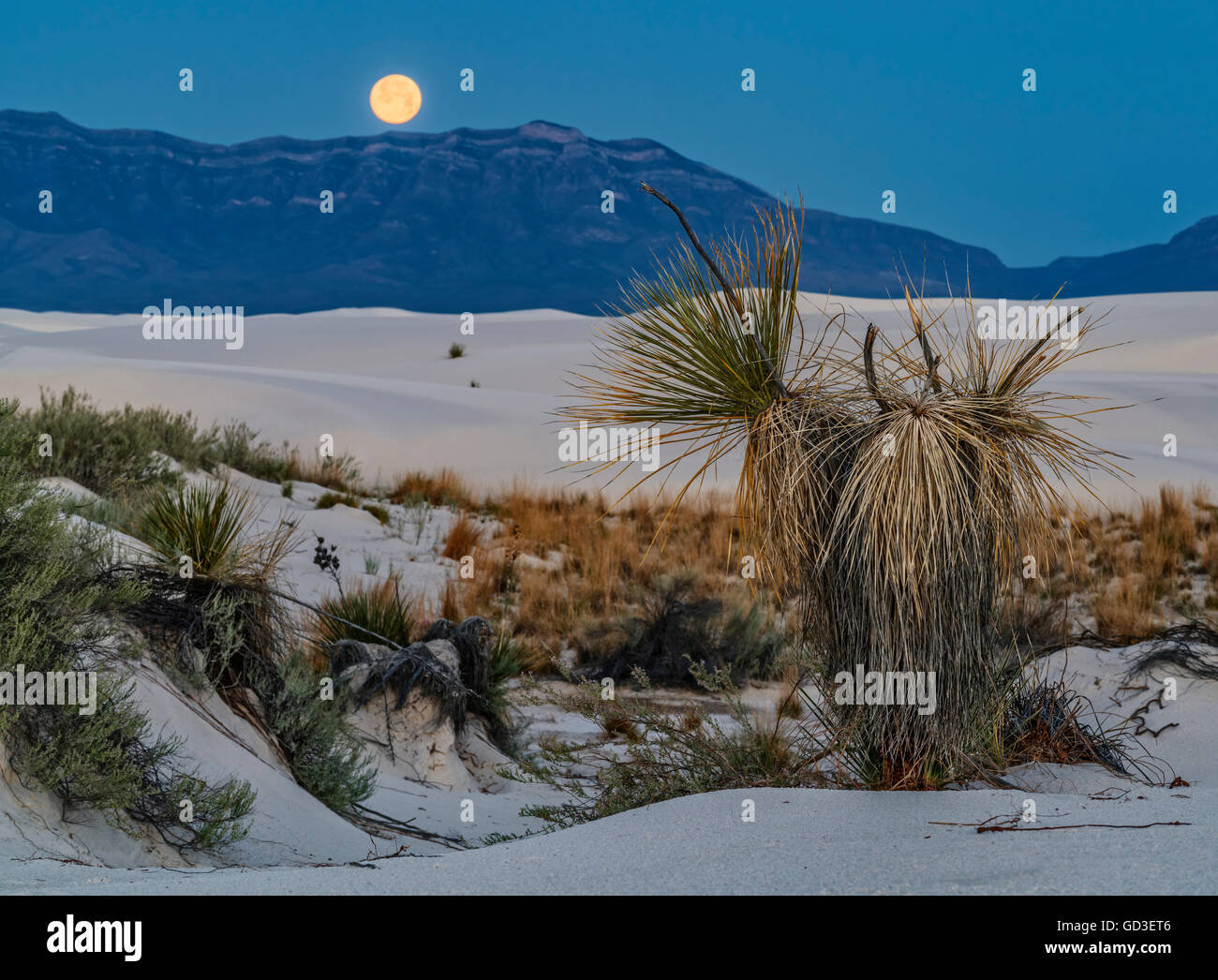 Moon desert hi-res stock photography and images - Alamy