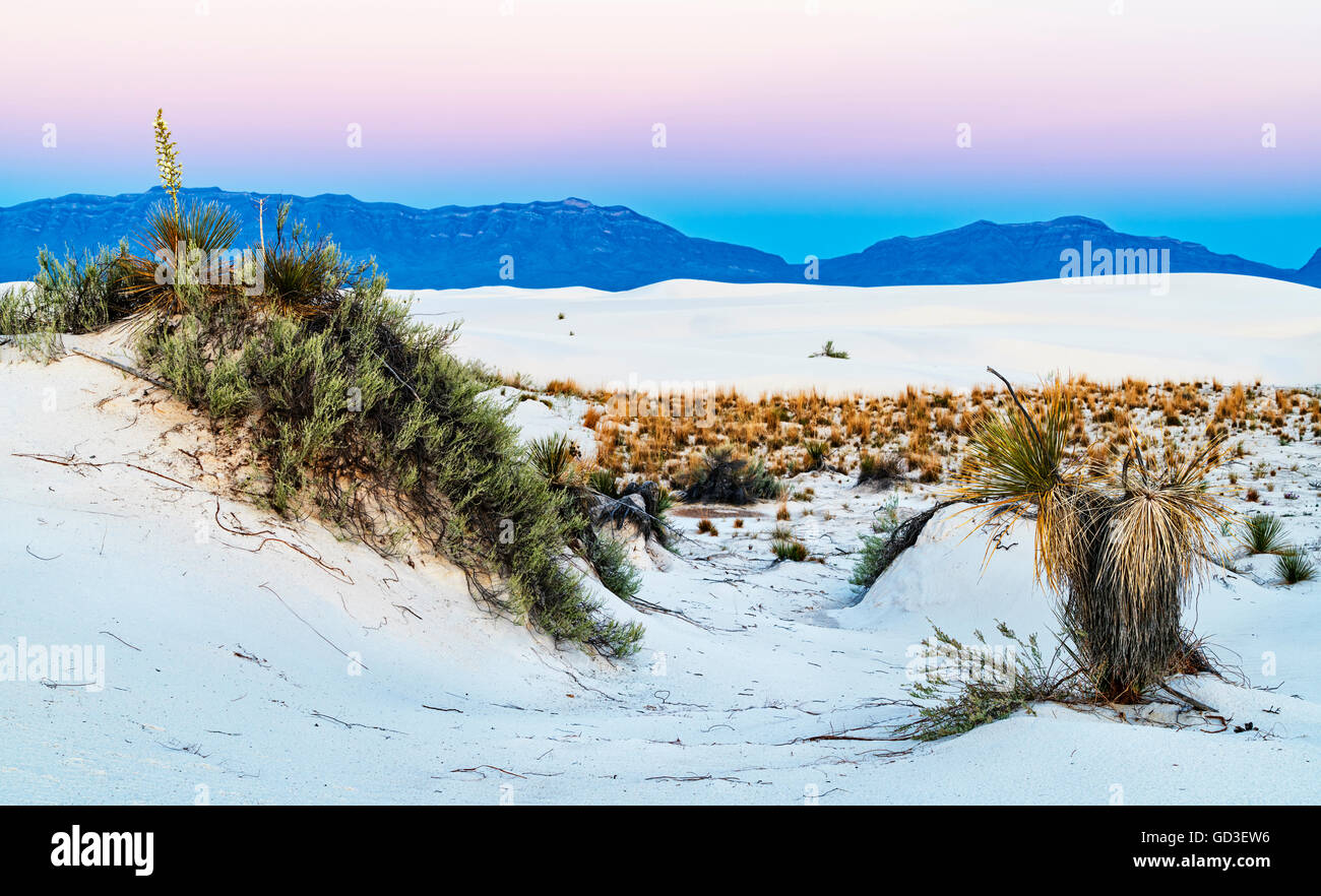 Desert sand dunes dusk sky hi-res stock photography and images - Alamy