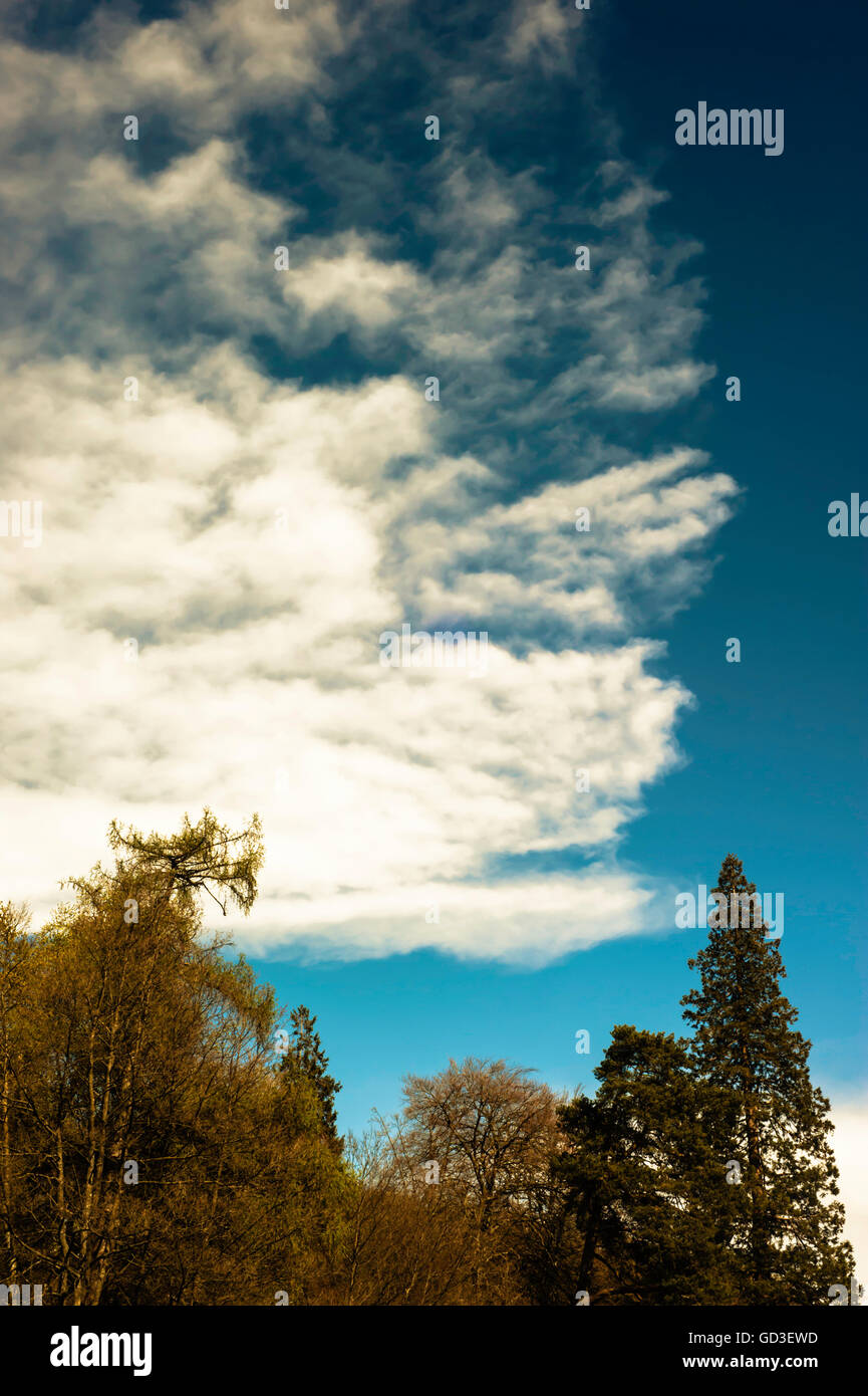 Cloud countryside hi-res stock photography and images - Alamy