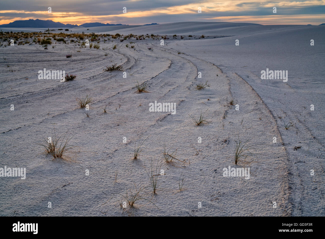 Desert sand lines Stock Photo - Alamy