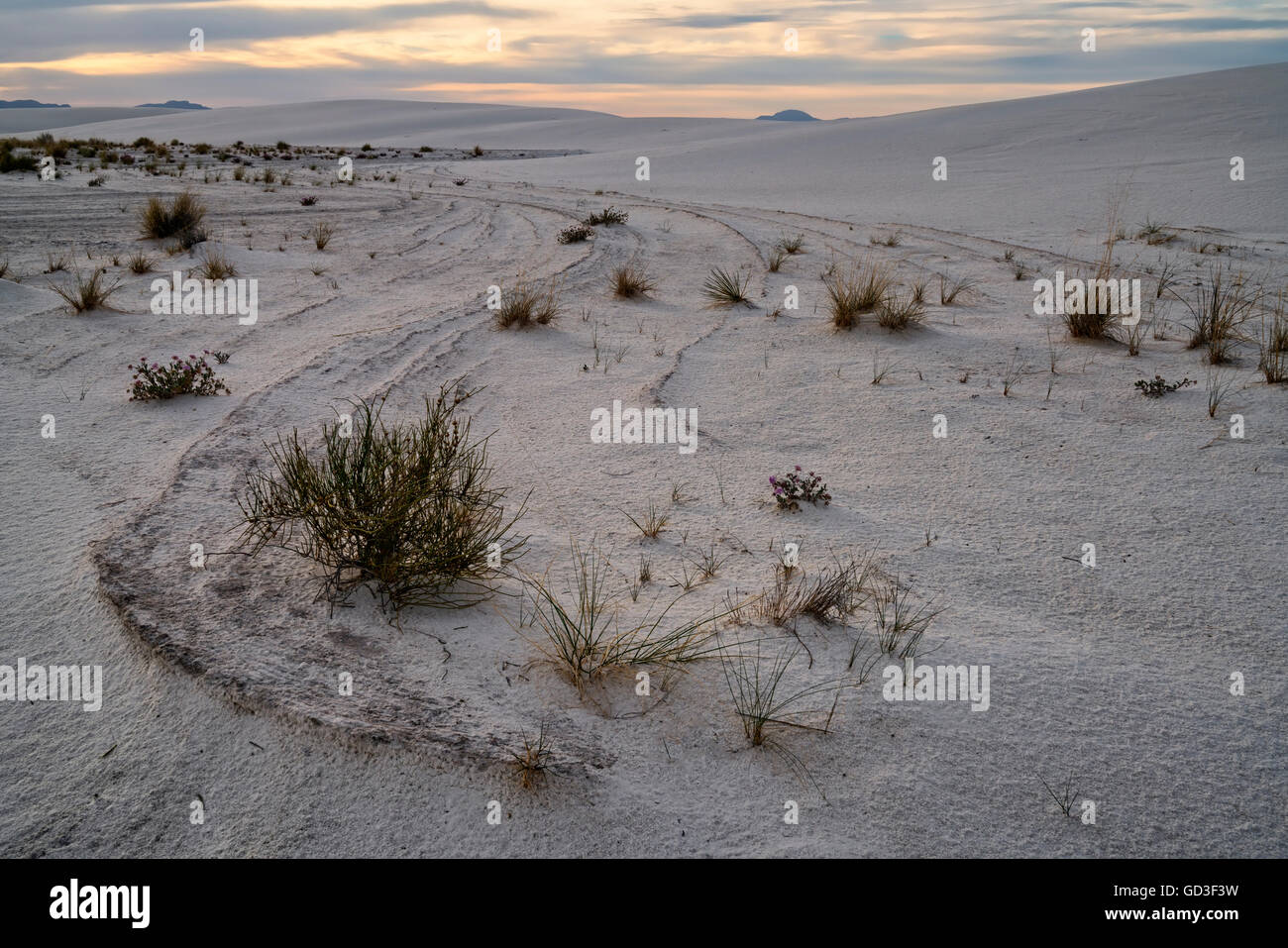 Desert sand lines Stock Photo - Alamy