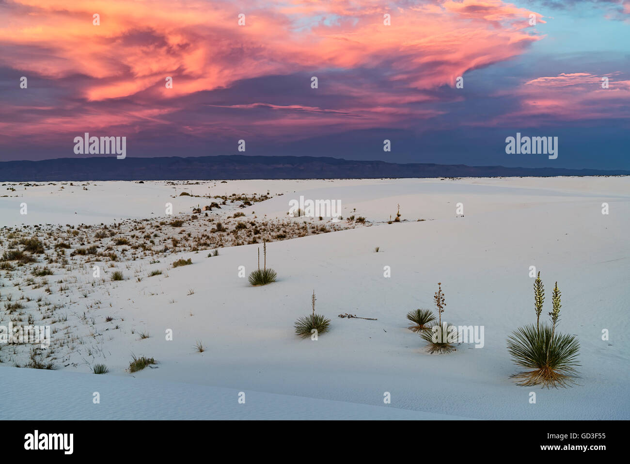 Desert sky on fire Stock Photo - Alamy