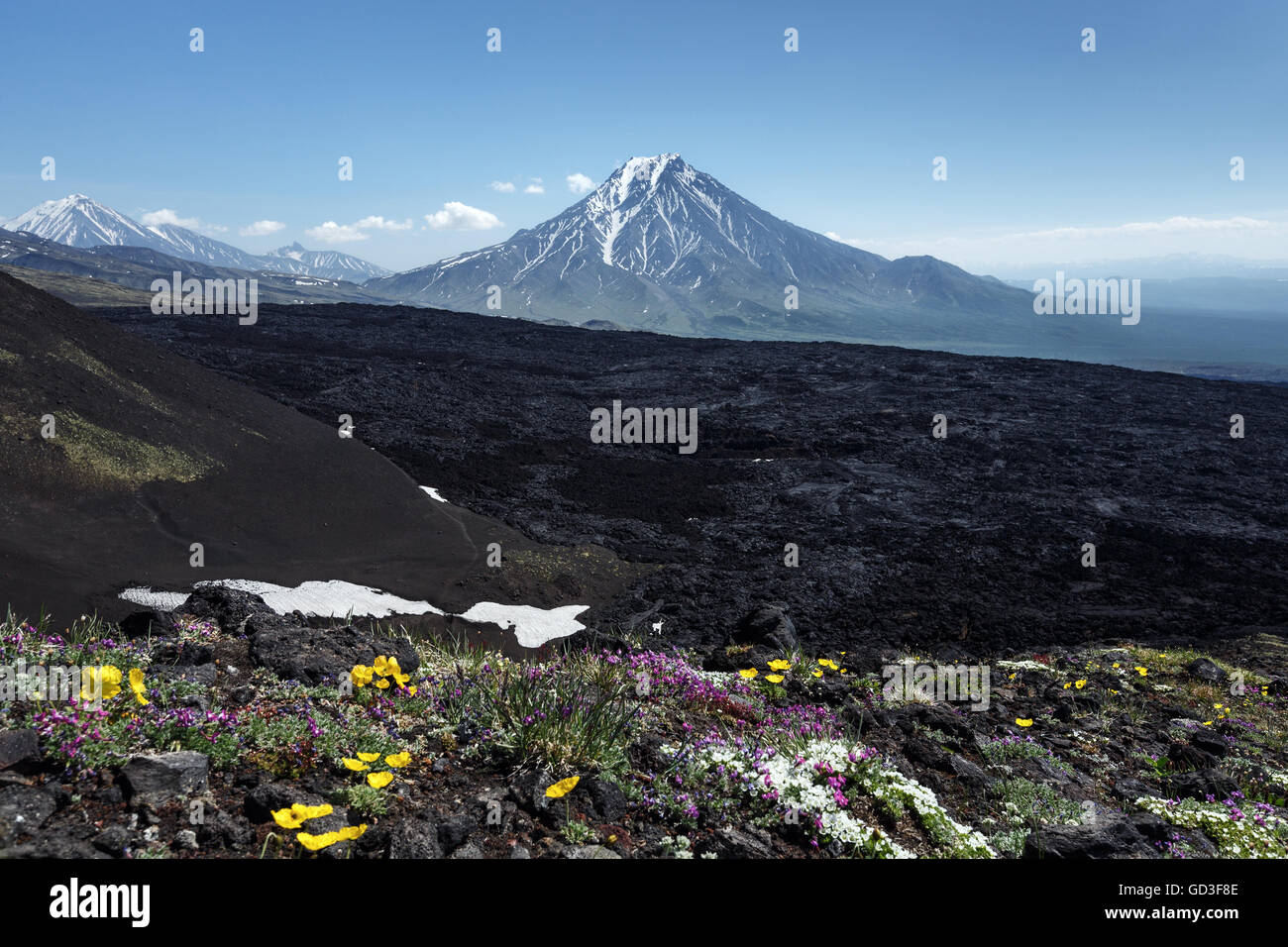 Kamchatka beautiful volcanic landscape - summer view of Bolshaya Udina ...