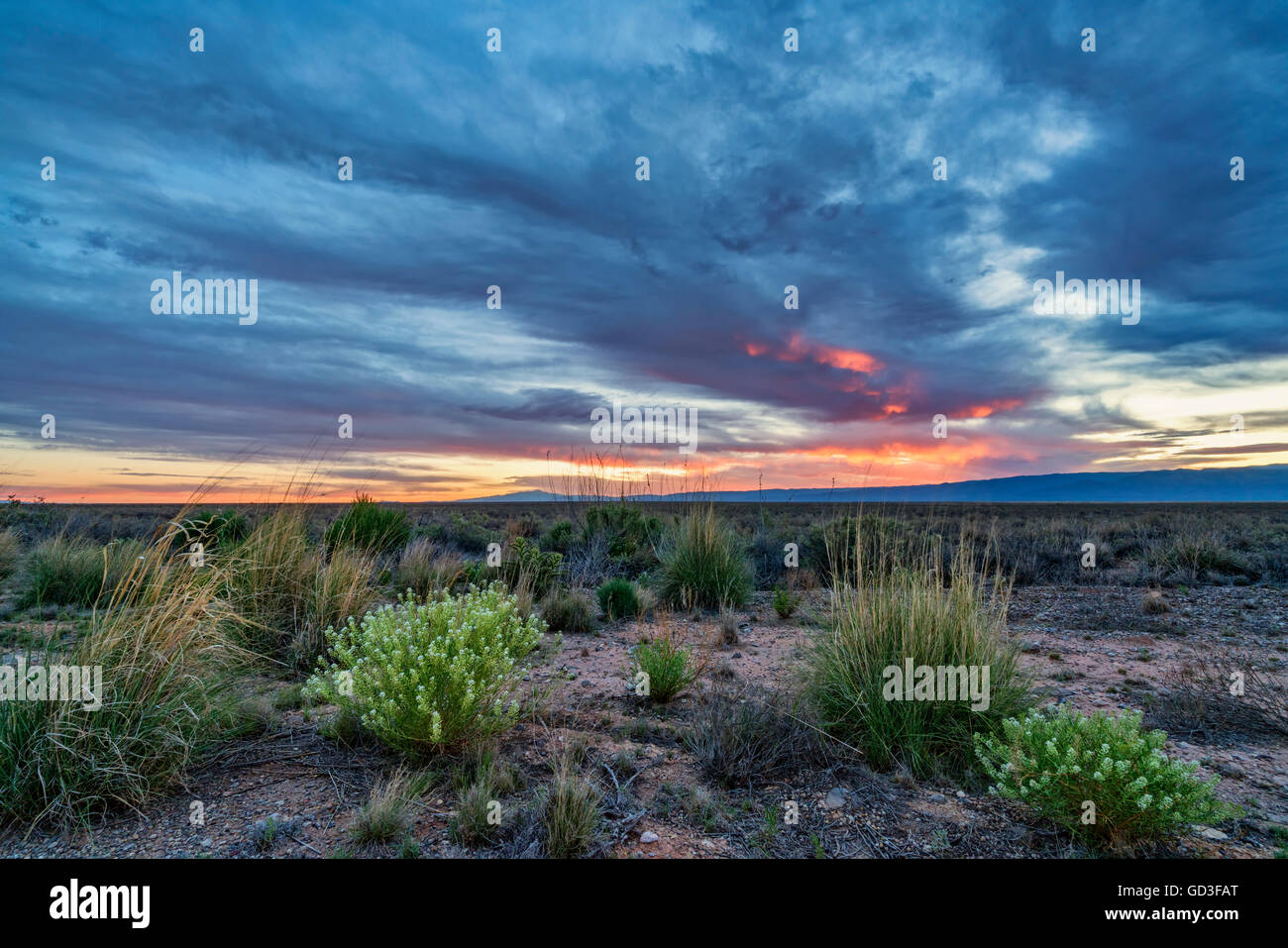 High desert sunrise Stock Photo - Alamy