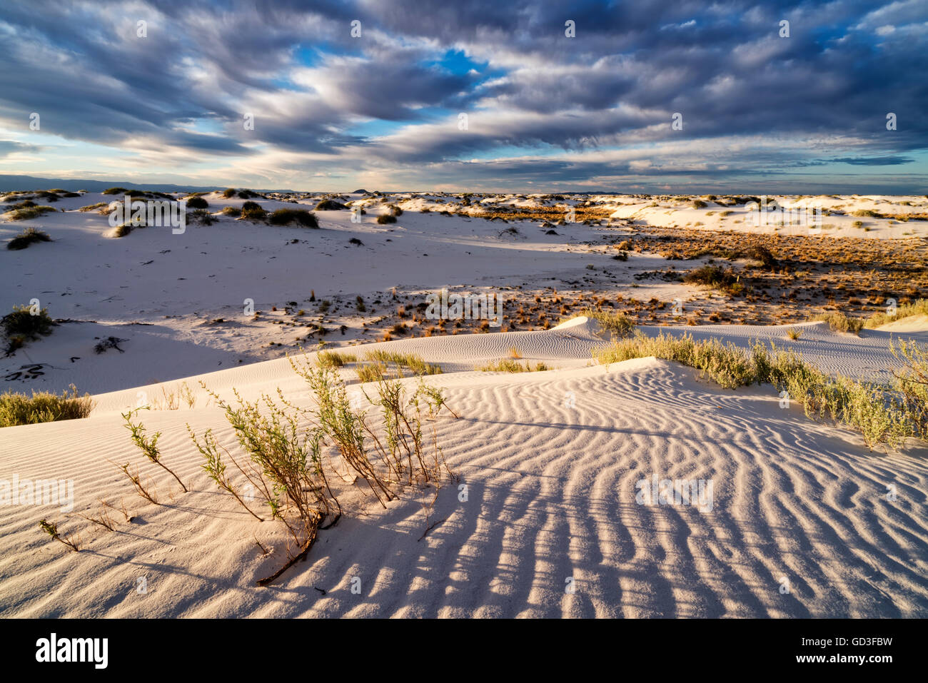 Desert Sand Ripples Stock Photo - Alamy