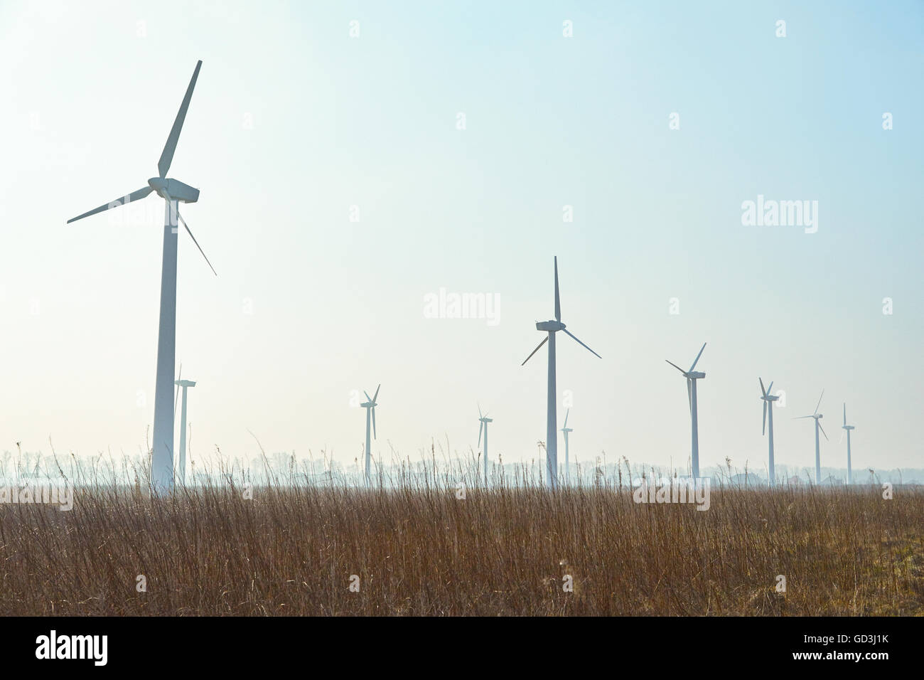 Wind turbine farm at morning time, toned image Stock Photo - Alamy