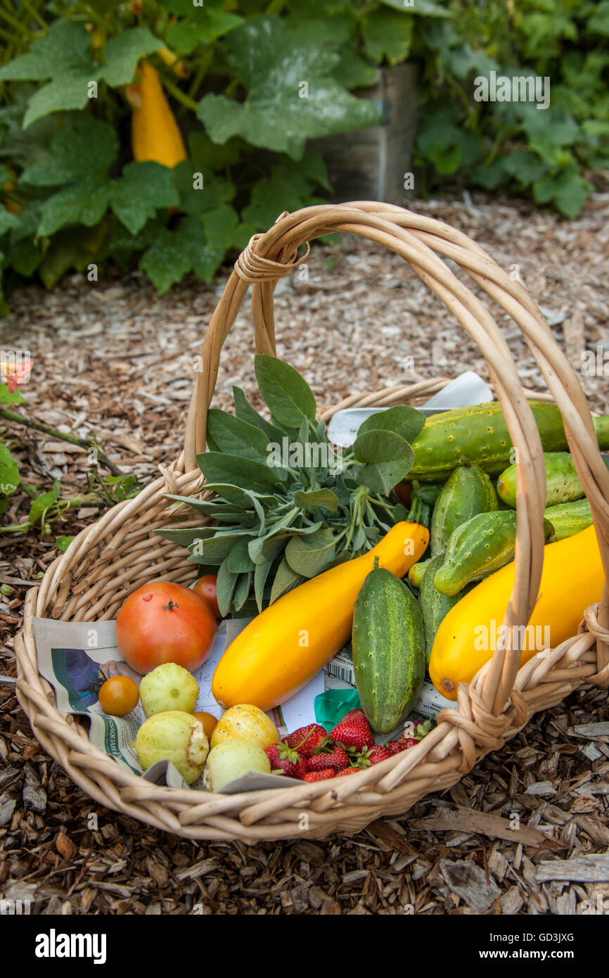 Crops farm vertical assortment hi-res stock photography and images - Alamy
