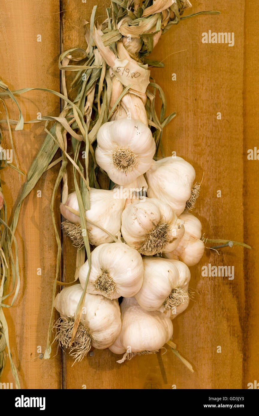 Garlic strand hi-res stock photography and images - Alamy