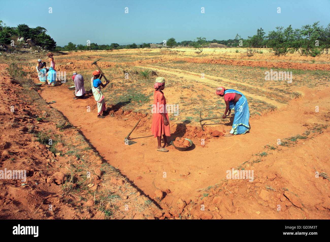 Women labourers working, jharkhand, india, asia Stock Photo - Alamy