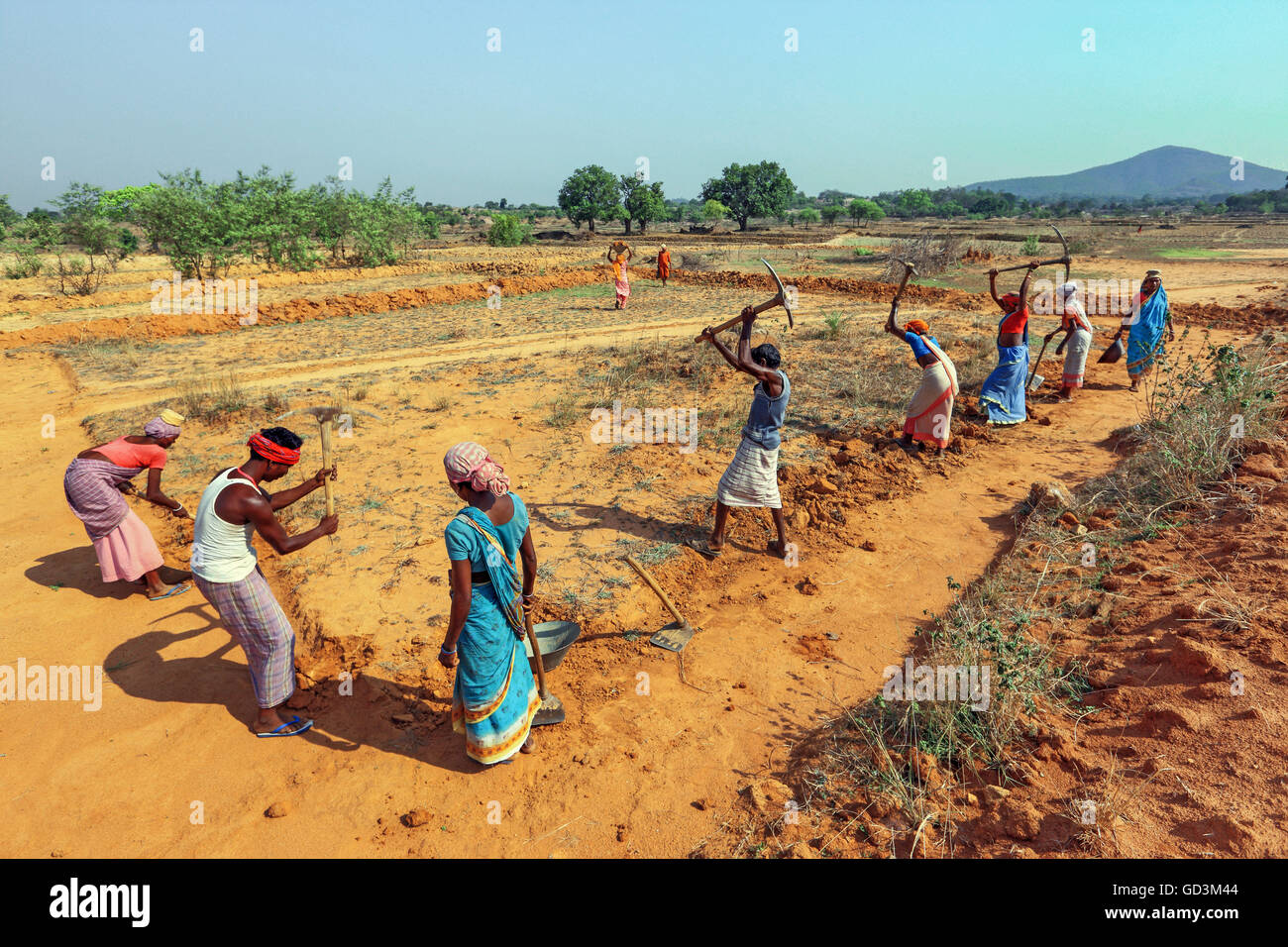 Women labourers working, jharkhand, india, asia Stock Photo - Alamy