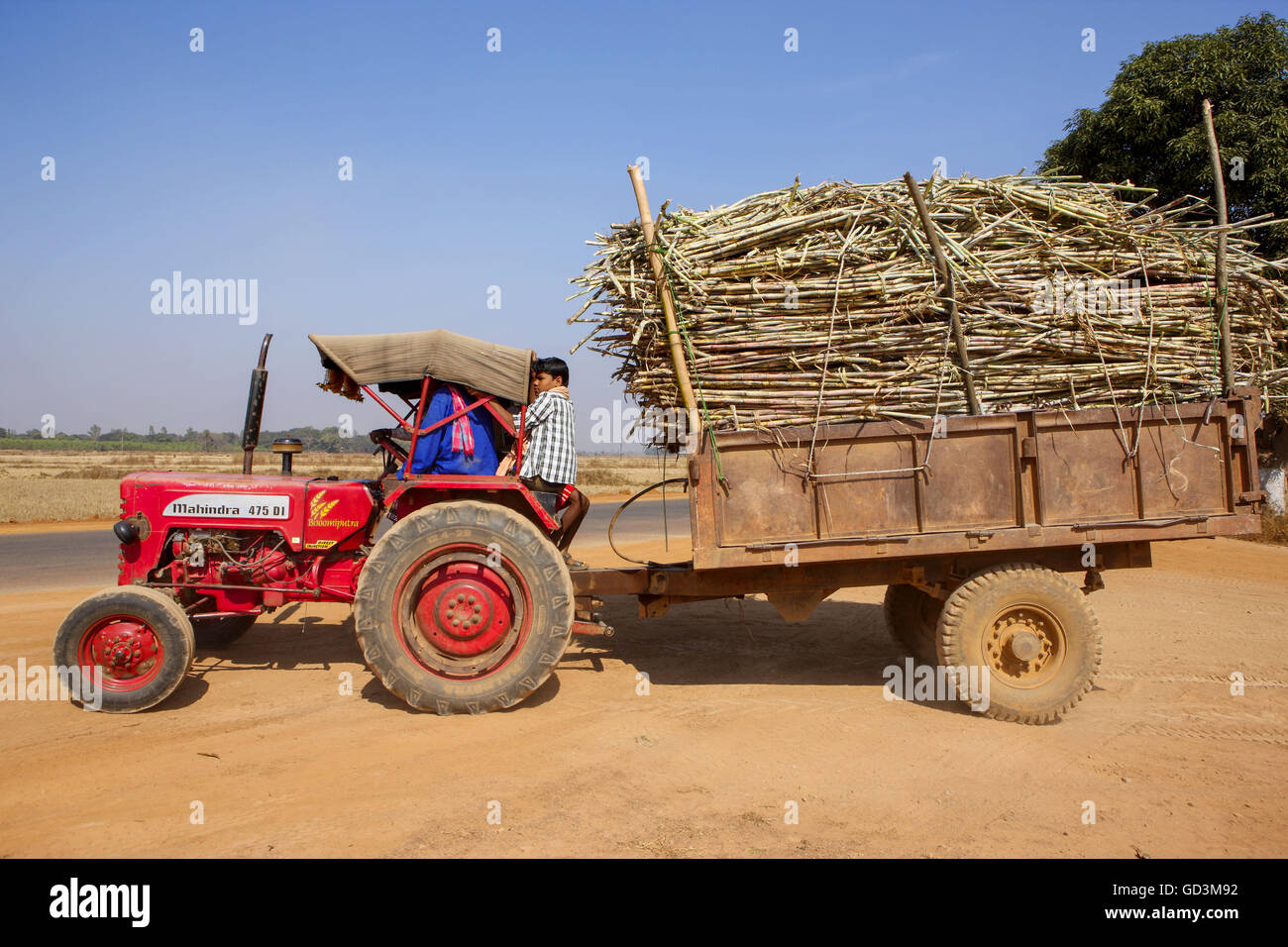 Tractor with sugarcane loaded, bastar, chhattisgarh, india, asia Stock ...