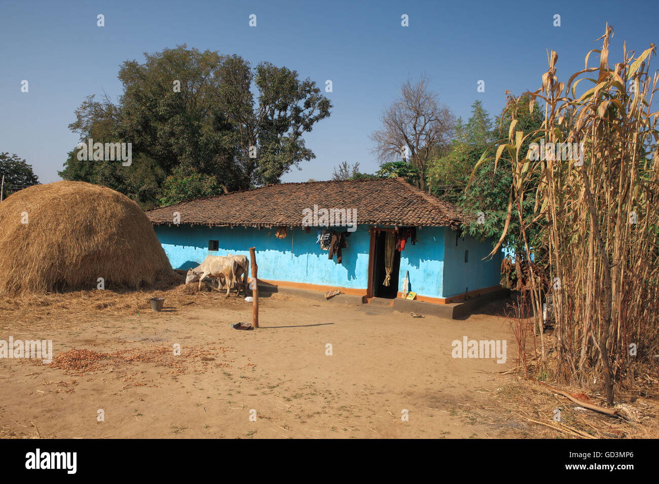 House, bastar, chhattisgarh, india, asia Stock Photo - Alamy