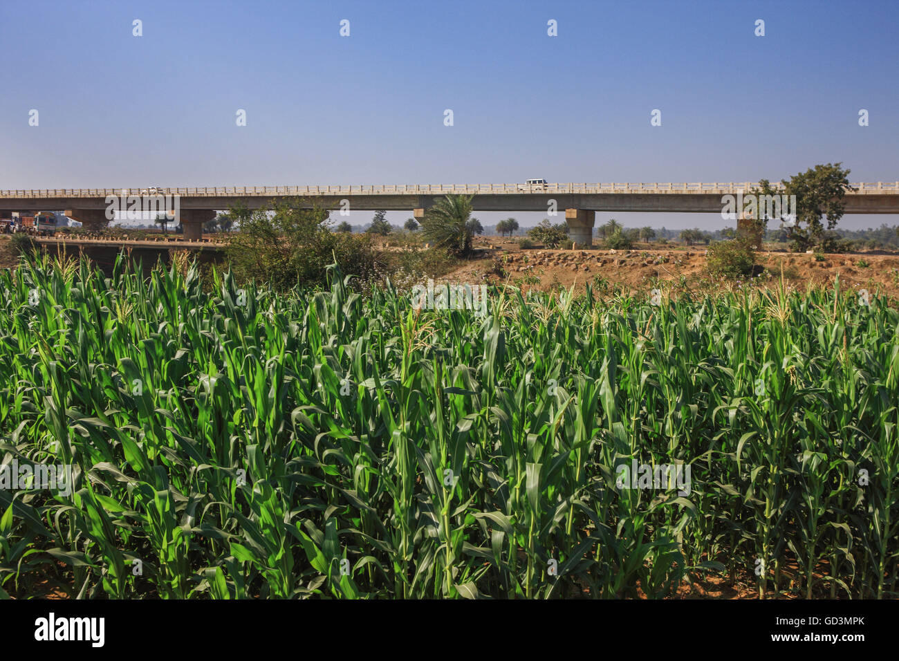 Chhattisgarh agriculture hi-res stock photography and images - Alamy