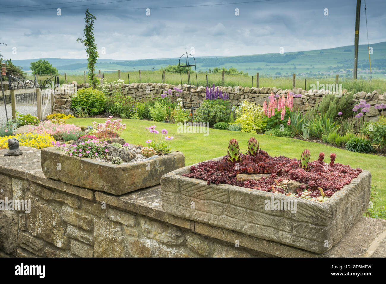 Trough plant hi-res stock photography and images - Alamy