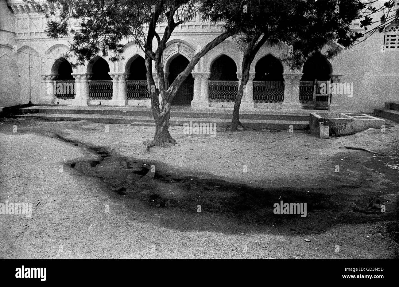 Palace trees Black and White Stock Photos & Images - Alamy